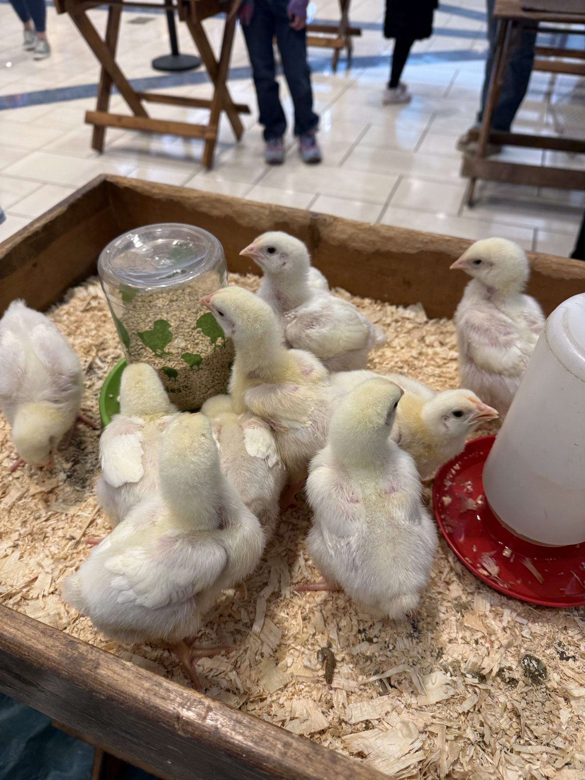 RiverTown Crossings hosts family-friendly spring celebrations ...